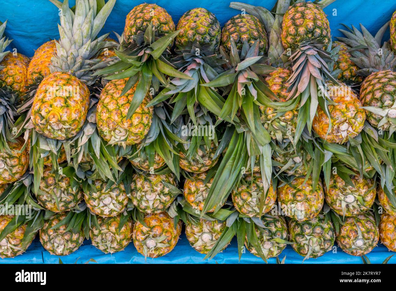 Fruit market in oaxaca mexico hi-res stock photography and images - Alamy