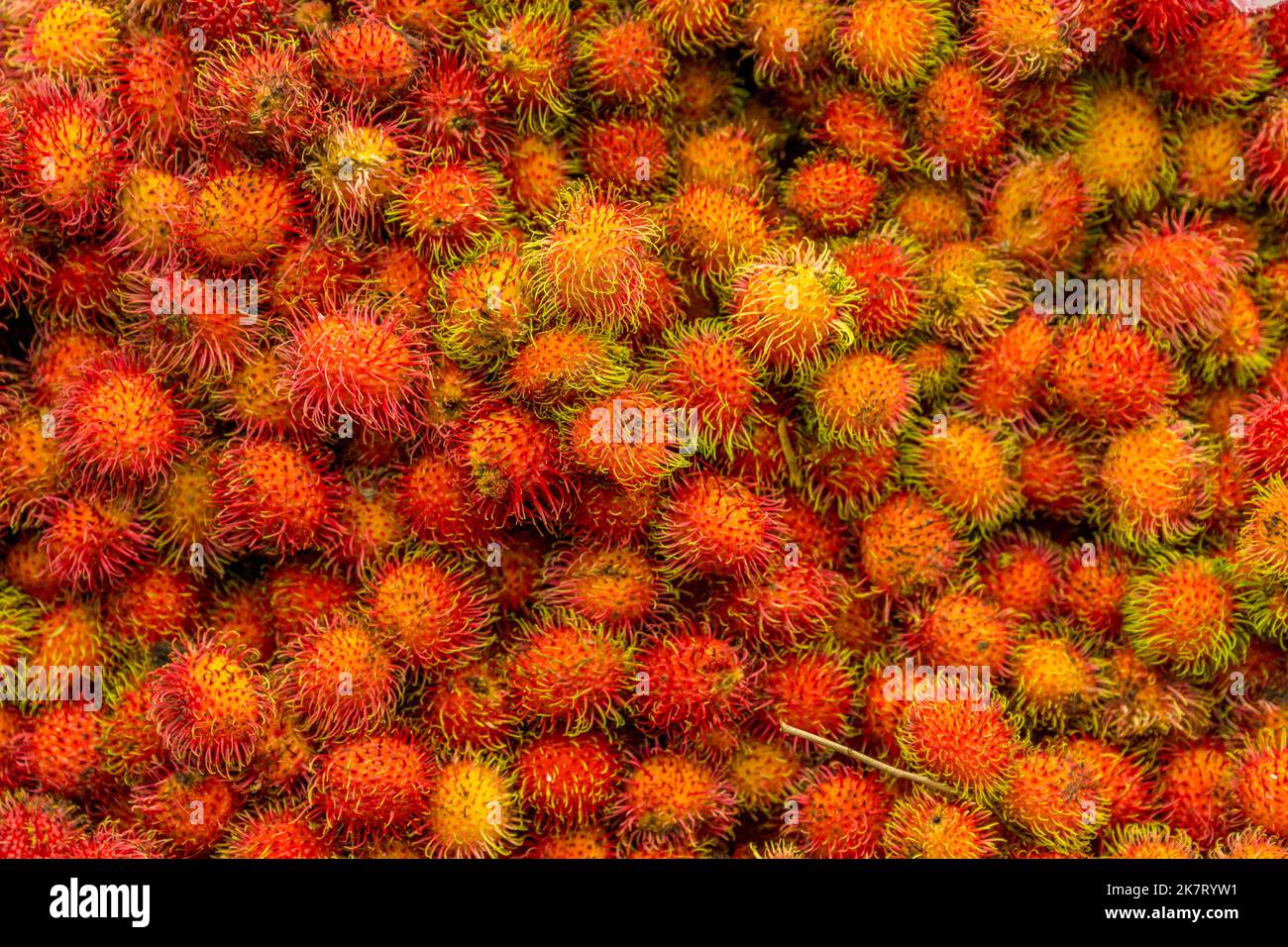 Indigenous fruits hi-res stock photography and images - Alamy