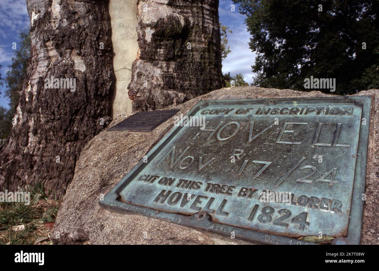 THE HOVELL TREE (RIVER GUM) MONUMENT WITH INSCRIPTION, SOUTH ALBURY ...