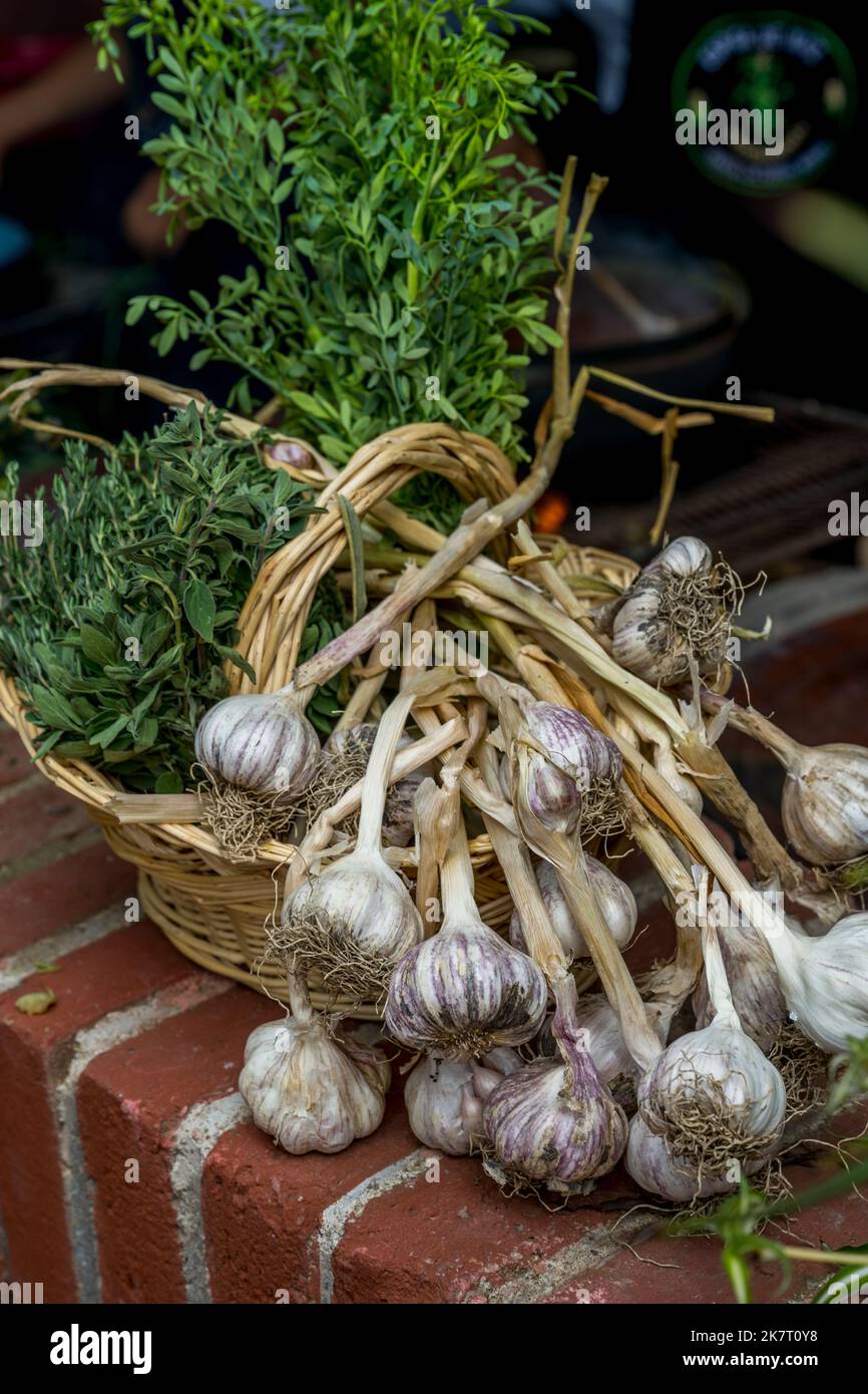 Garlic decorations at the open kitchen in the courtyard garden of Casa ...
