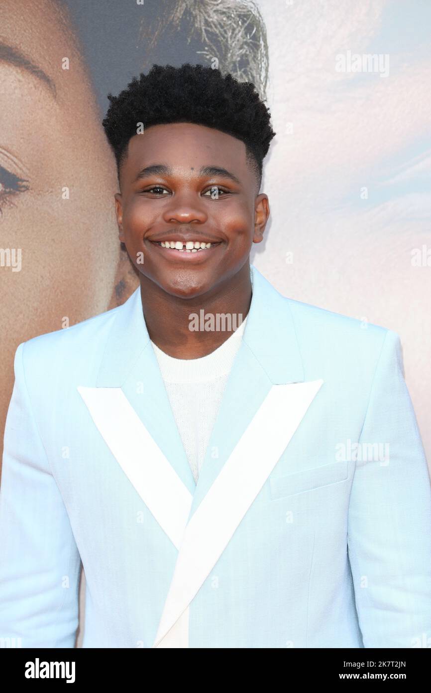 Jalyn Hall attends 'Till' premiere, 66th BFI London Film Festival, UK ...