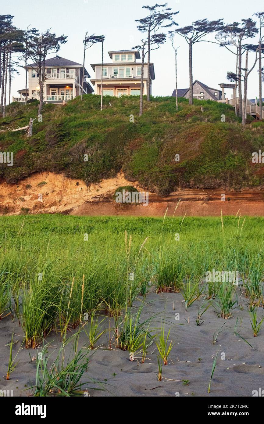 Stately houses sit atop a cliff surrounded by evergreen trees at ...