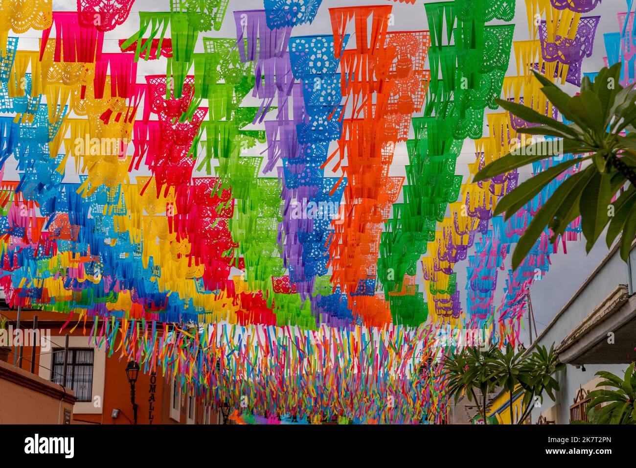 During the festival of the Guelaguetza, the streets are decorated with ...