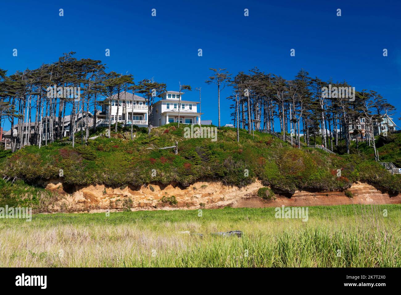 Stately houses sit atop a cliff surrounded by evergreen trees, with ...