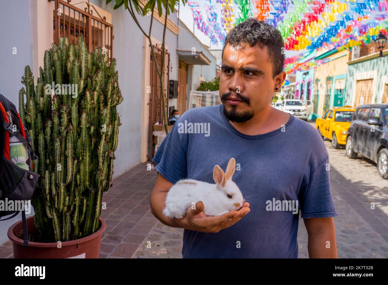 A man with his pet rabbit in a street of Barrio de Jalatlaco, in Oaxaca ...