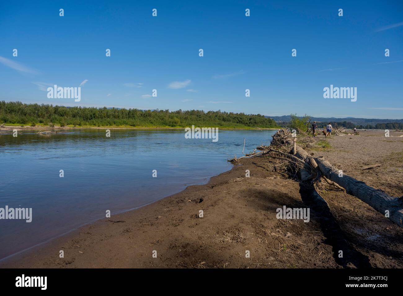 The Sandy River Delta at the Sandy River Delta Park, which is along ...