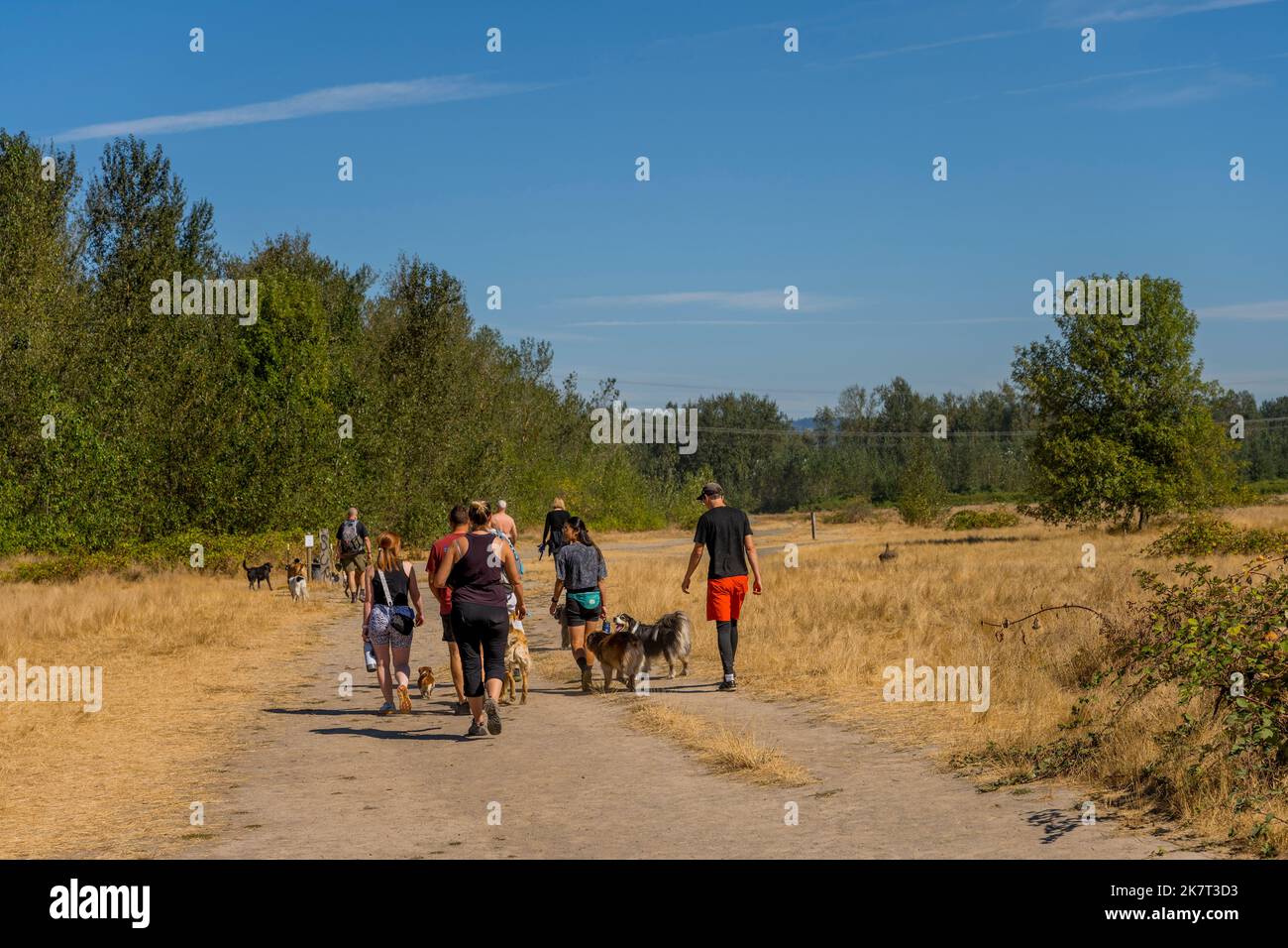 People walking with their dogs on an off-leash trail at the Sandy River ...