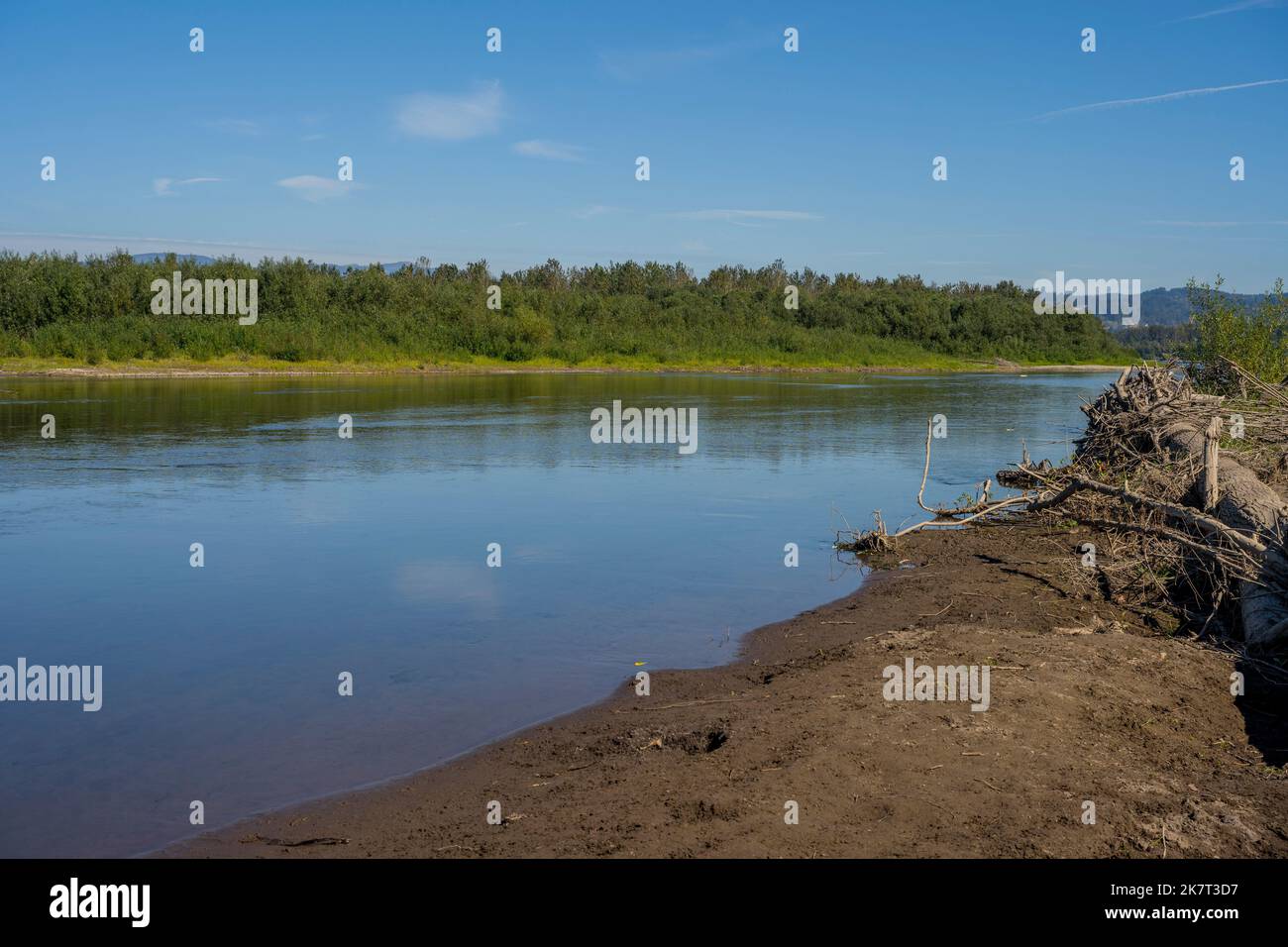 The Sandy River Delta at the Sandy River Delta Park, which is along ...