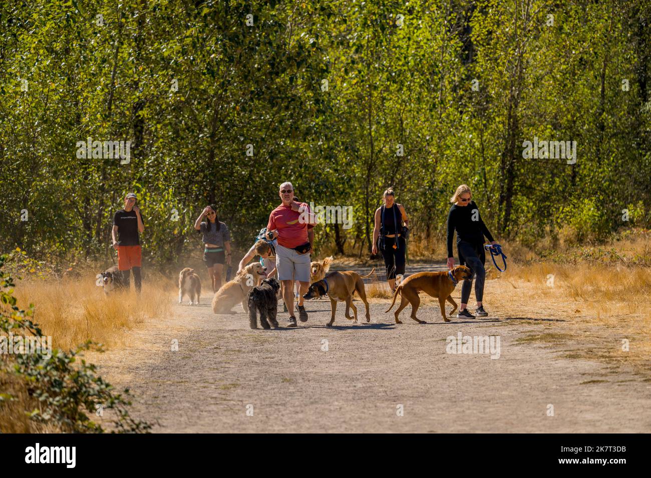 People walking with their dogs on an off-leash trail at the Sandy River ...