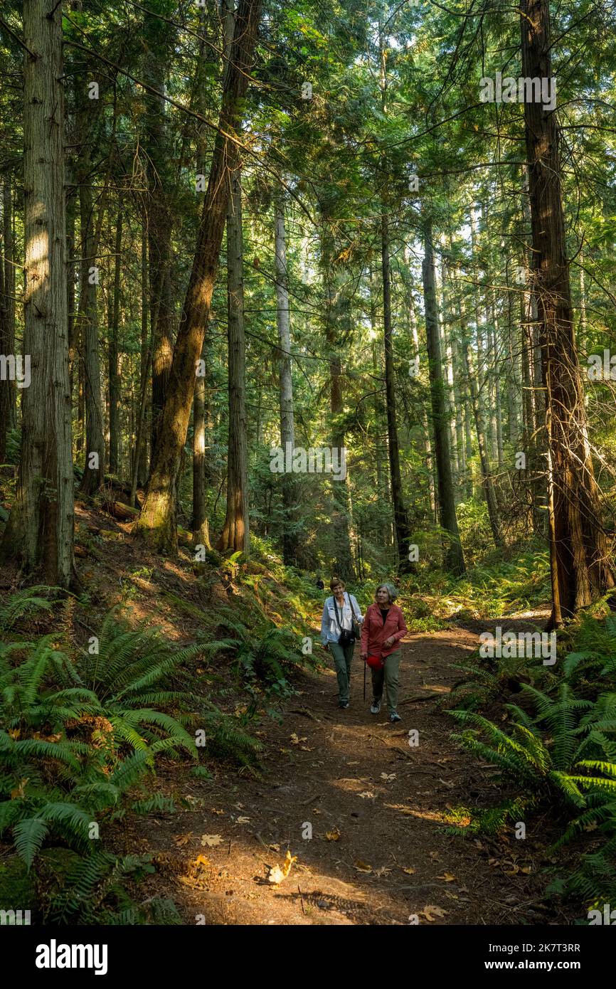 People hiking in the forest at Fort Townsend Historical State Park near ...