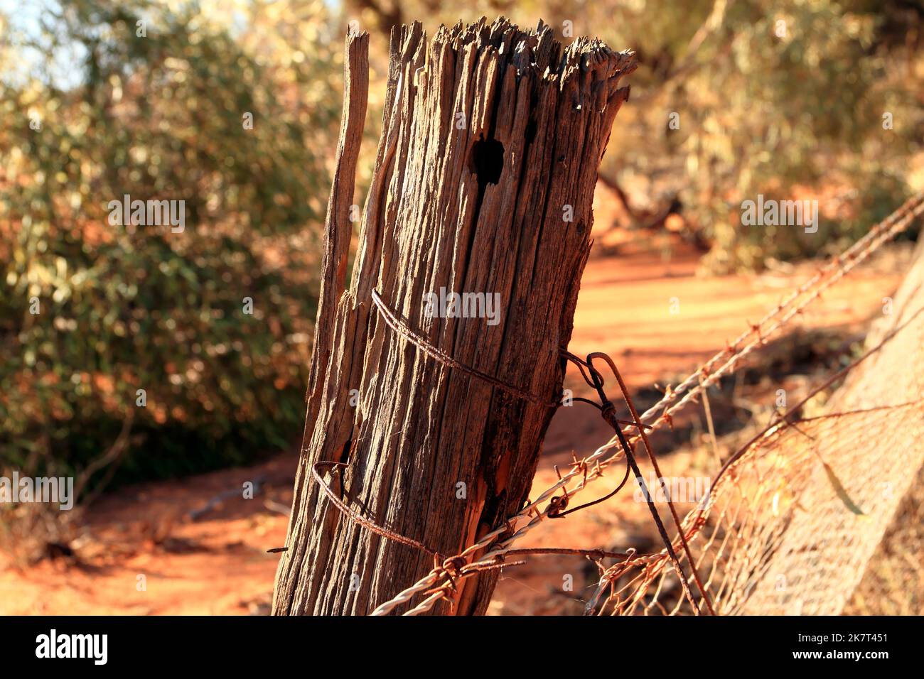 Detail of the Rabbit proof fence, old wooden pole and wire, eastern ...