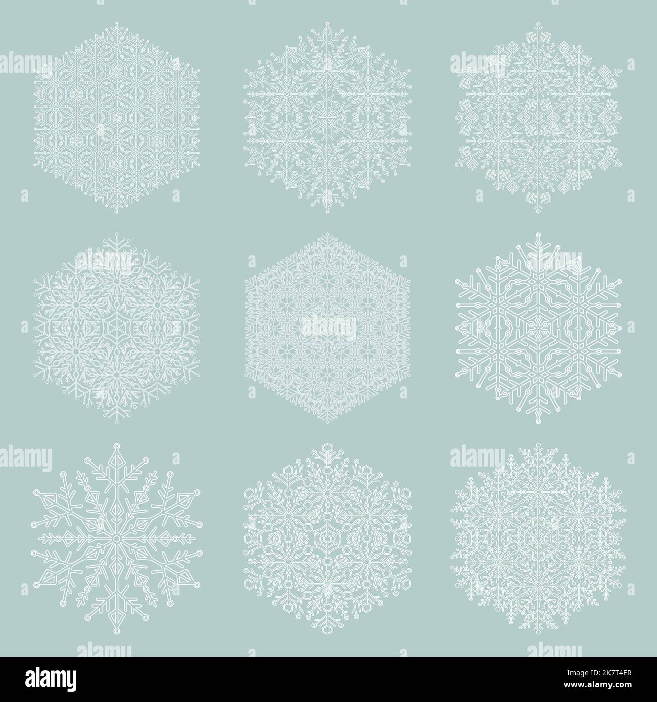 Set of snowflakes. Light blue and white winter ornaments. Snowflakes ...