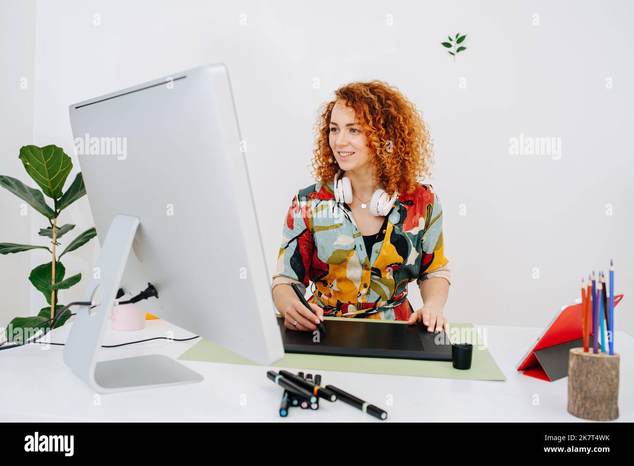25 apartment computer ginger hi-res stock photography and images - Alamy