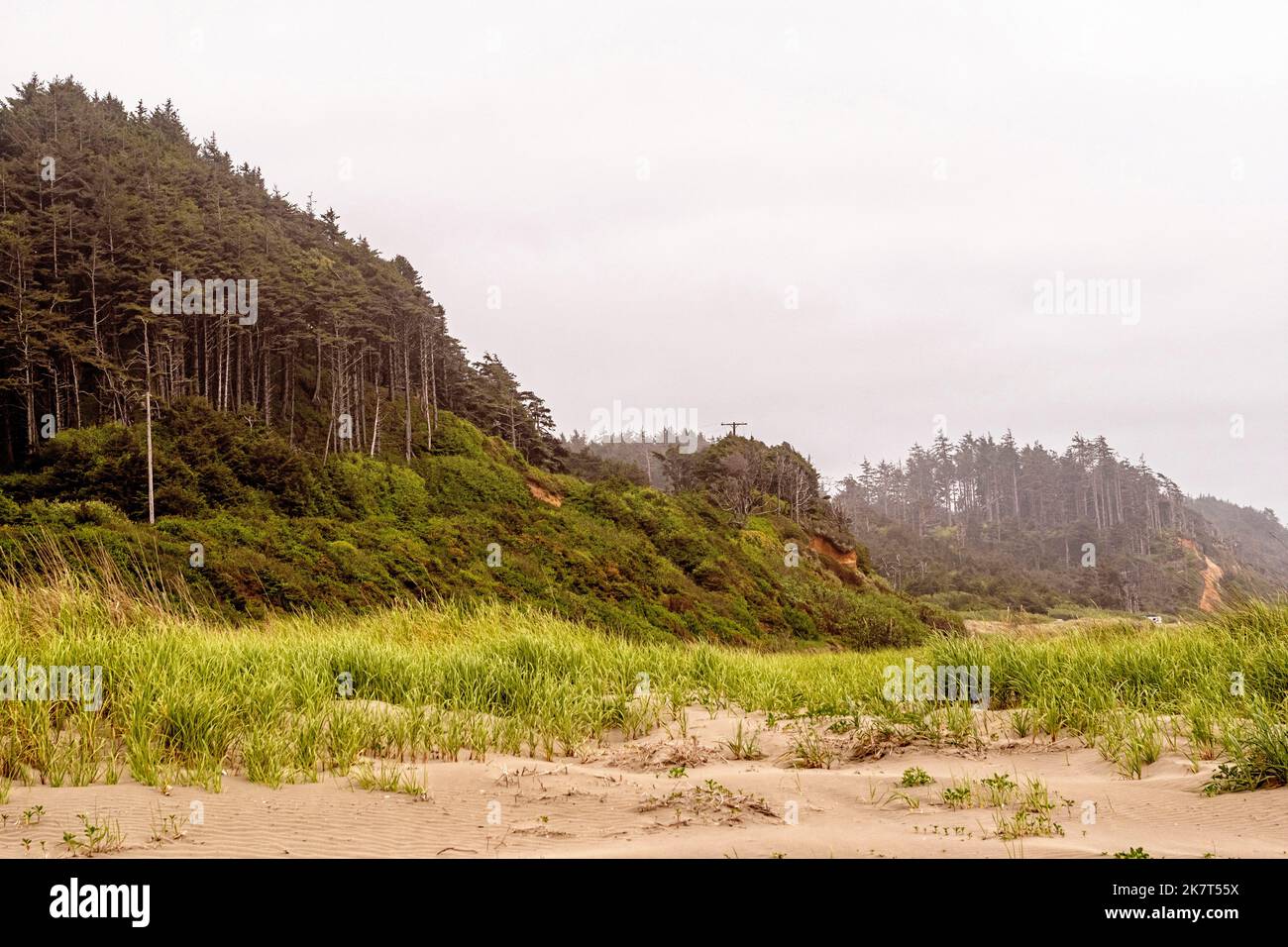 The rugged Washington State coast is lined with windswept evergreen ...