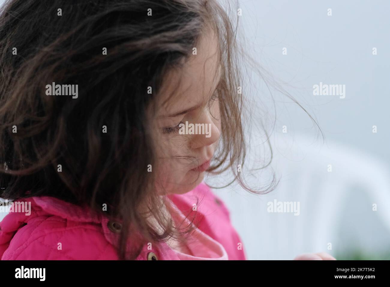 Backyad hi-res stock photography and images - Alamy