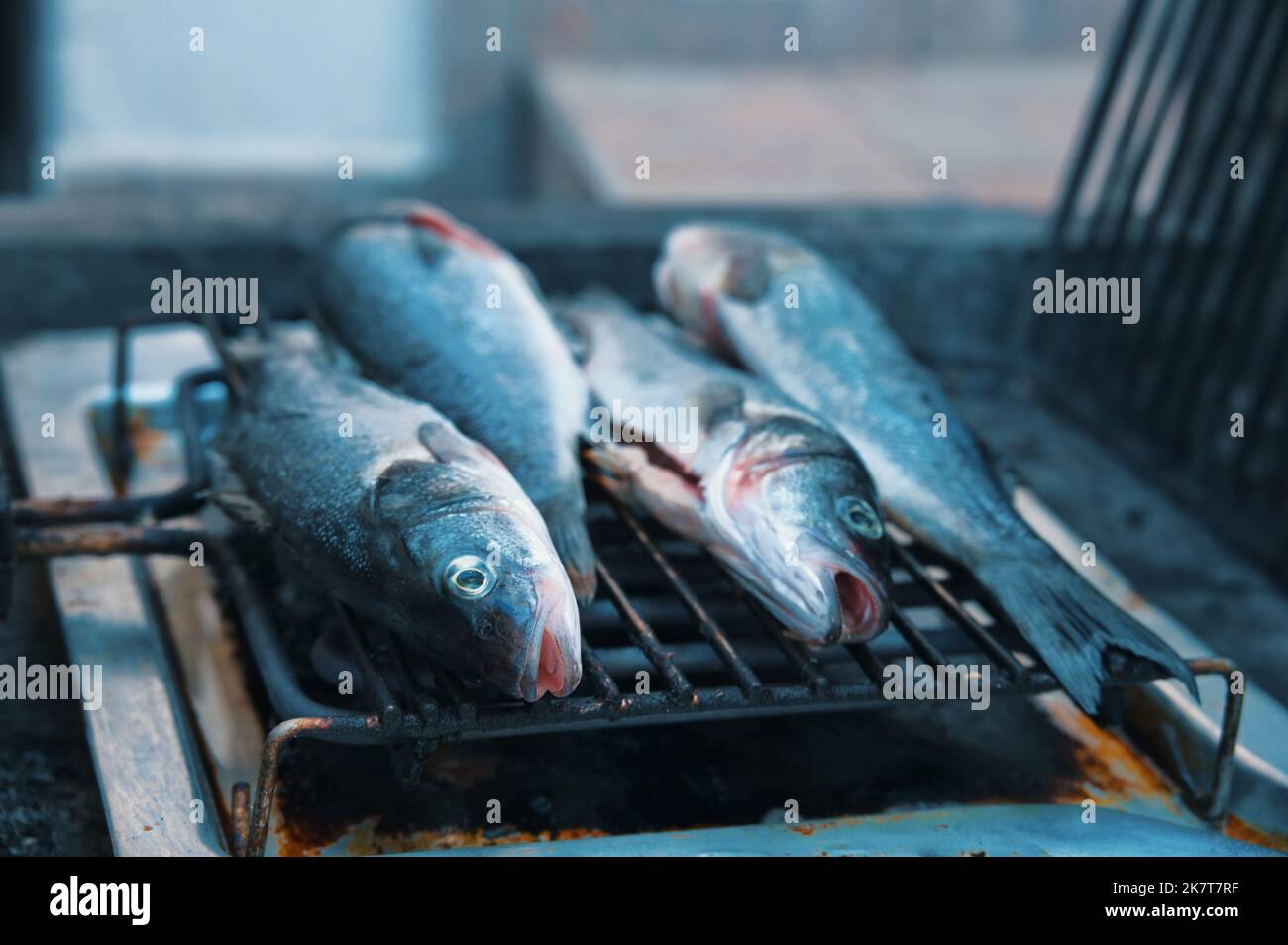 Gridiron tradition hi-res stock photography and images - Alamy