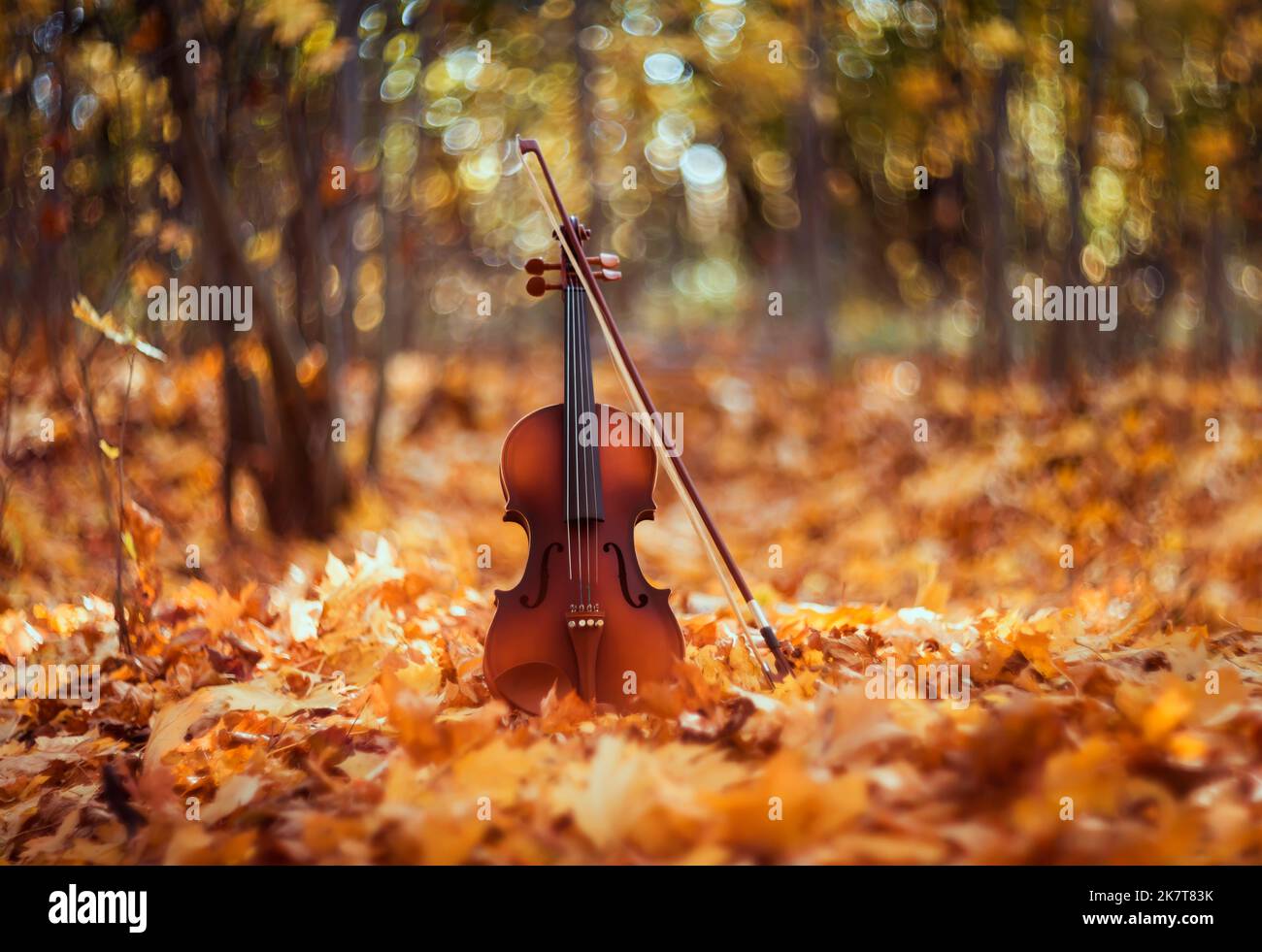 instrument wooden violin with bow stands in a spring sunny park among ...