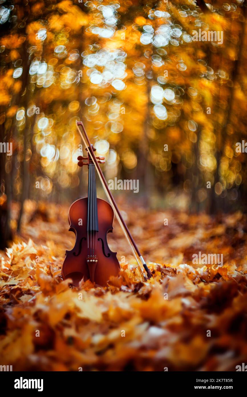 vertical postcard instrument wooden violin with bow stands in a sunny ...