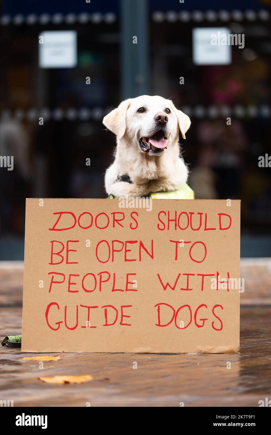EDITORIAL USE ONLY Guide dog Giles displays a placard to raise ...