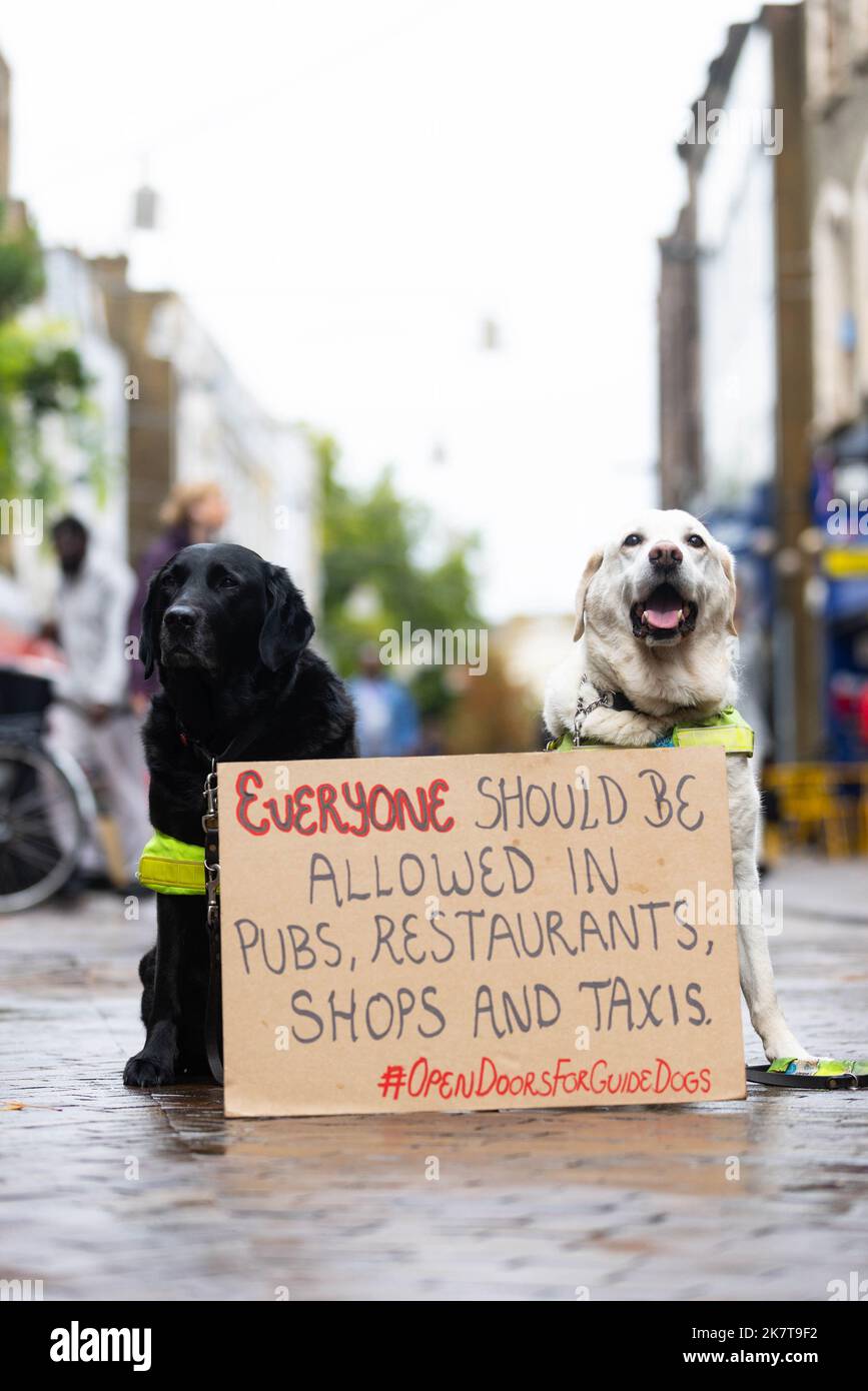 EDITORIAL USE ONLY Guide dogs Inca and Watson display a placard to ...
