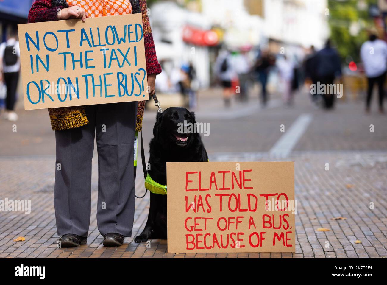 EDITORIAL USE ONLY Elaine from Milton Keynes and her guide dog Inca ...