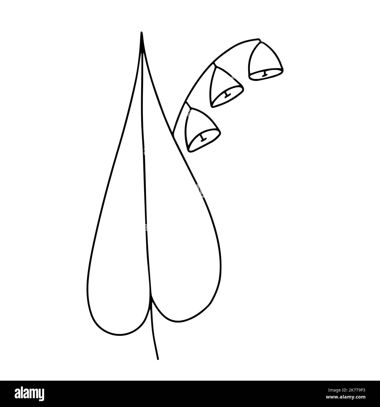 Delicate sketch of a spring flower. Vector illustration in hand drawn ...