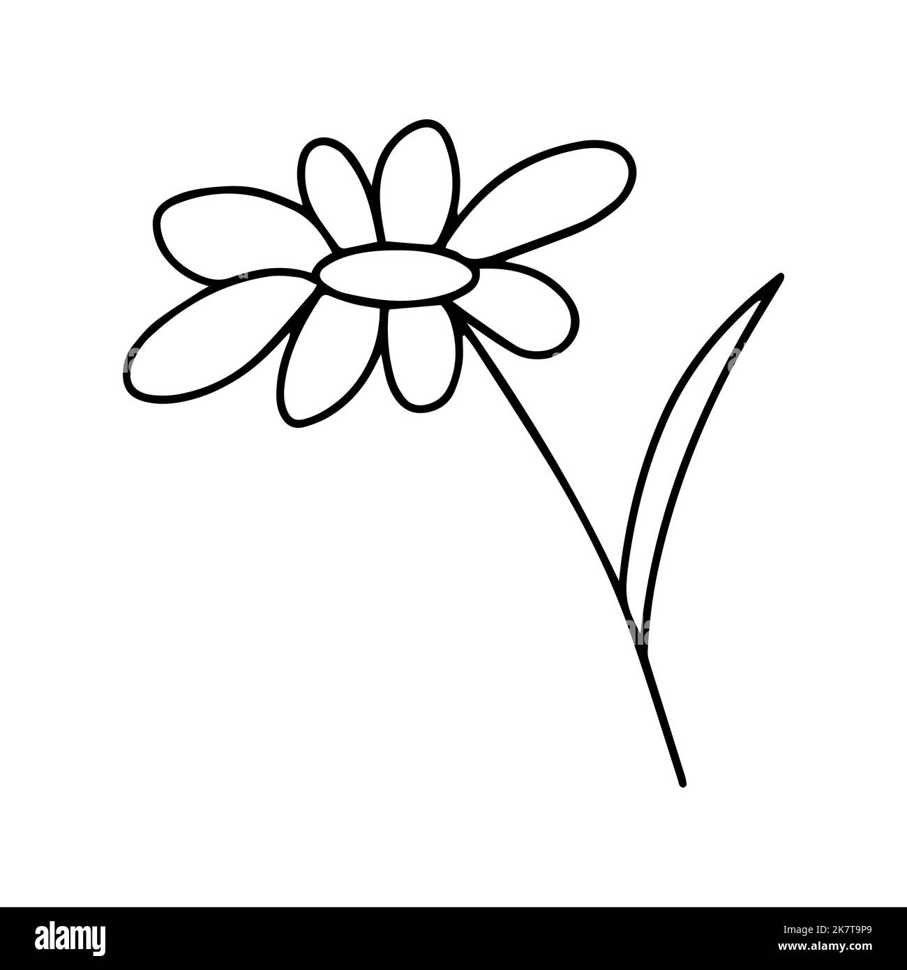 Delicate sketch of a spring flower. Vector illustration in hand drawn ...