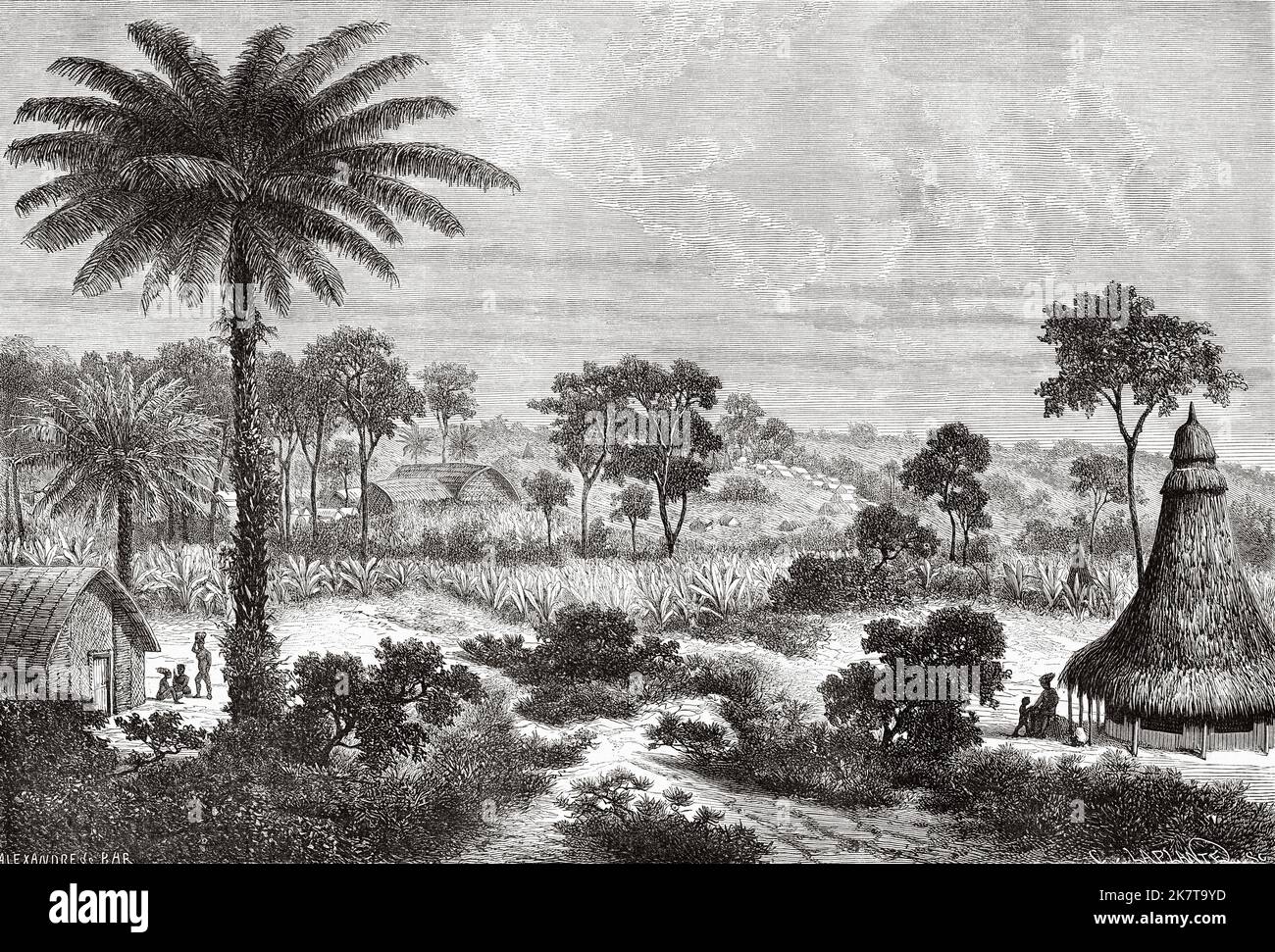 King of mangbetu people hi-res stock photography and images - Alamy