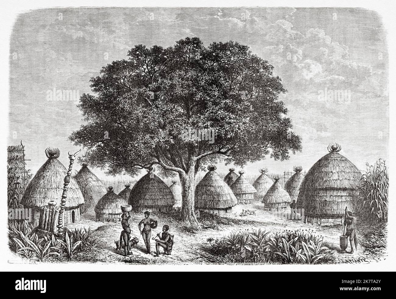 Bongo village around a butter-tree (genus Bassia) Africa. Heart of ...