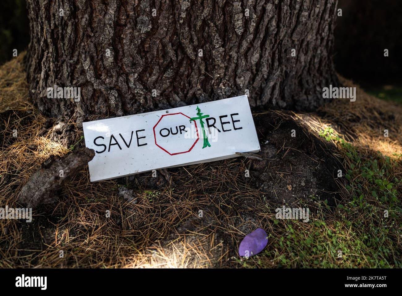 Save paper save trees message hi-res stock photography and images - Alamy