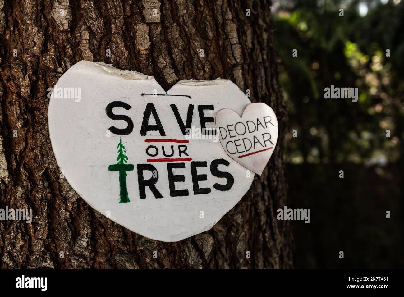 Save paper save trees hi-res stock photography and images - Alamy