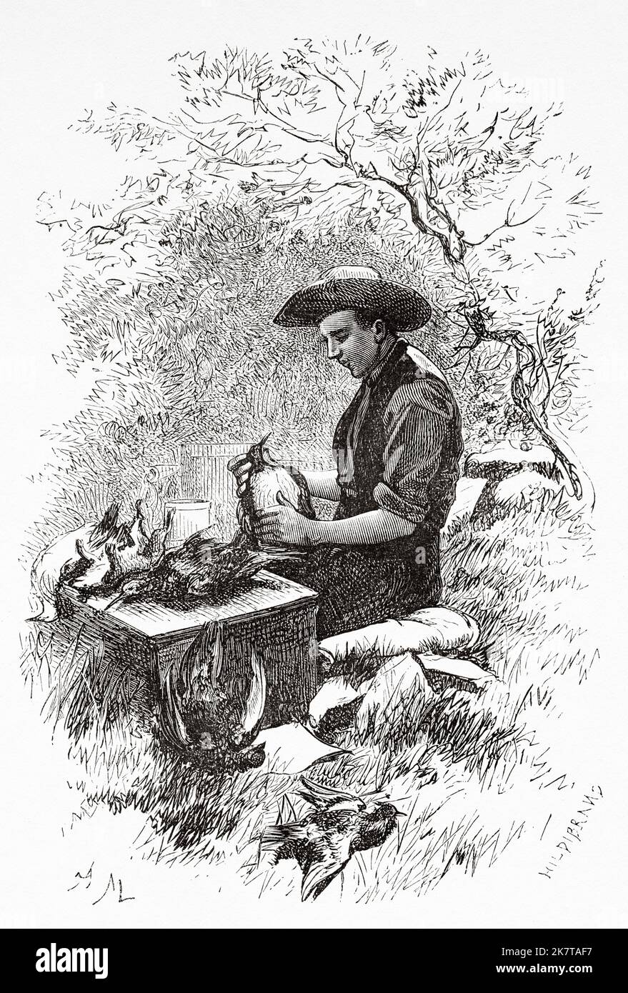 Ornithologist from the mission hi-res stock photography and images - Alamy