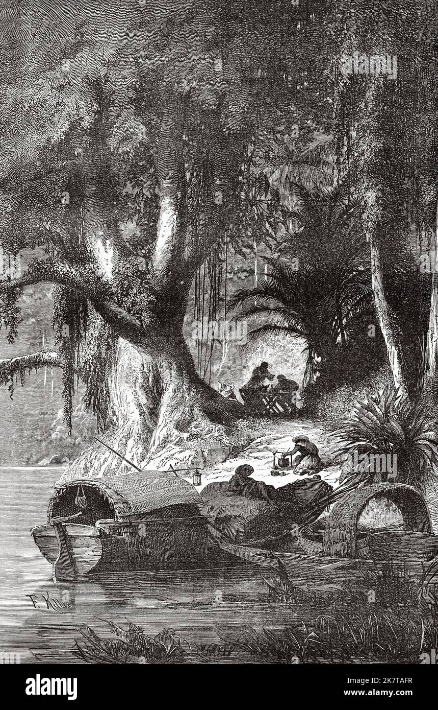 Resting in the shade of a giant tree in the virgin forest at the Amazon ...