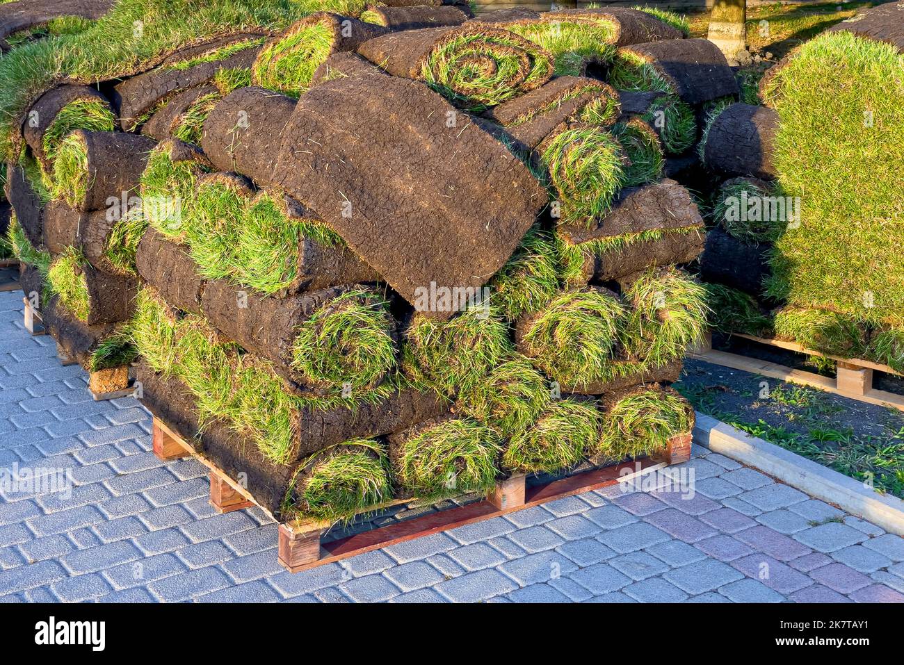 stacks of sod rolls for landscaping. Lawn grass in rolls on pallets on ...