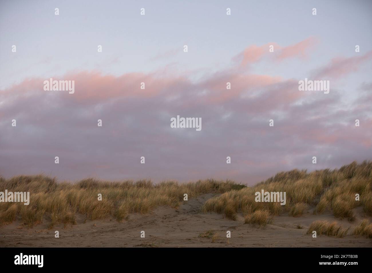 Manila dunes hi-res stock photography and images - Alamy