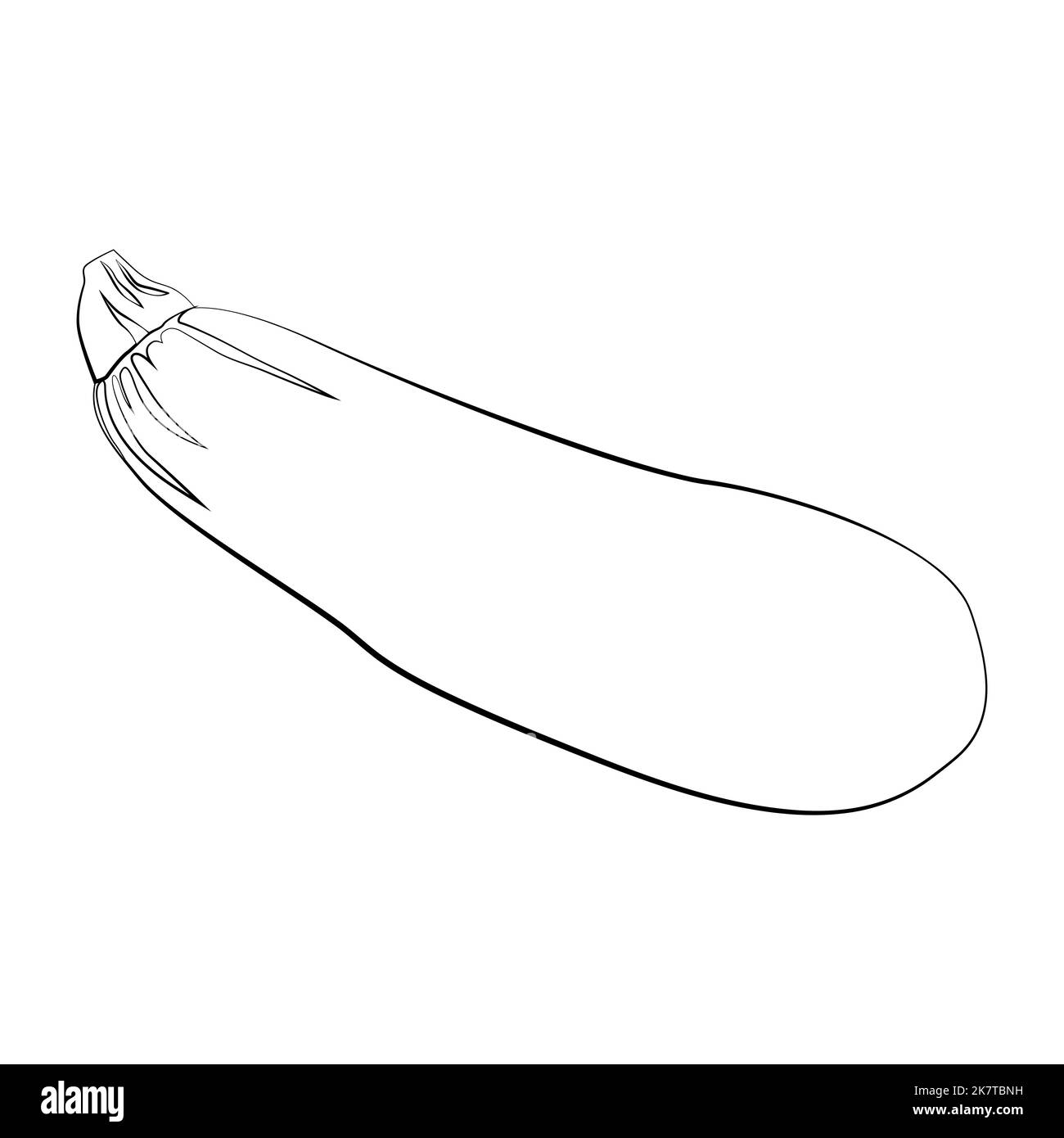 Zucchini with a thin line. Vector on a white background Stock Vector ...