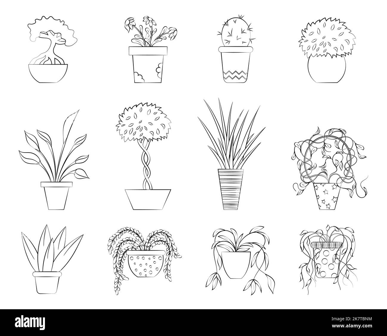 Plants thin Cut Out Stock Images & Pictures - Alamy