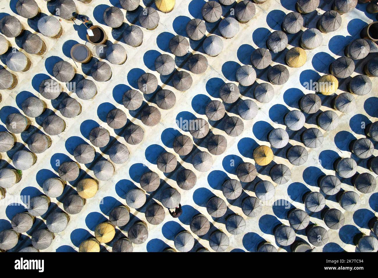 RUGAO, CHINA - OCTOBER 19, 2022 - Aerial photo shows workers stirred ...