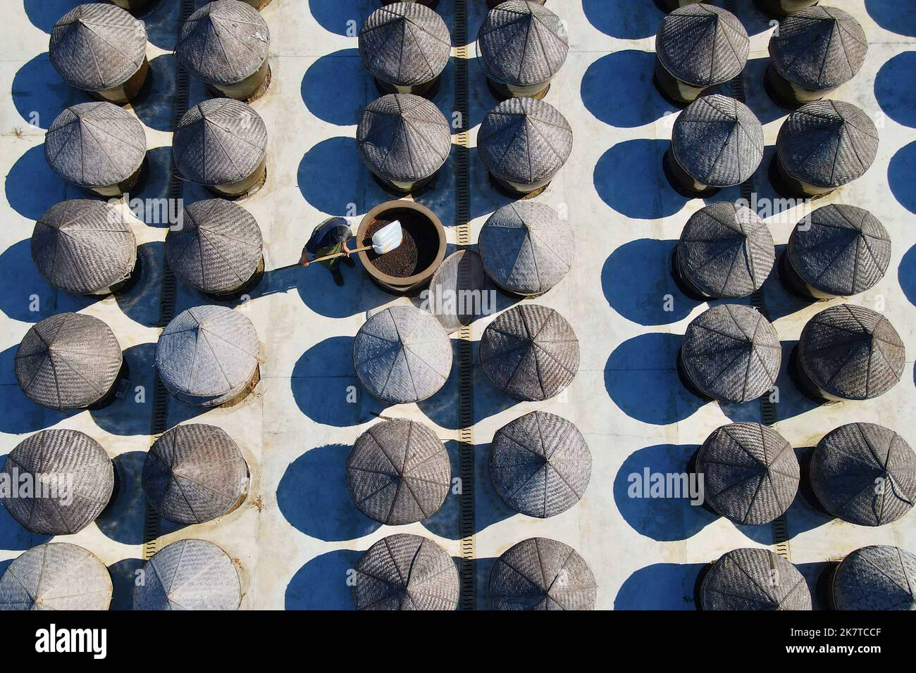 RUGAO, CHINA - OCTOBER 19, 2022 - Aerial photo shows workers stirred ...