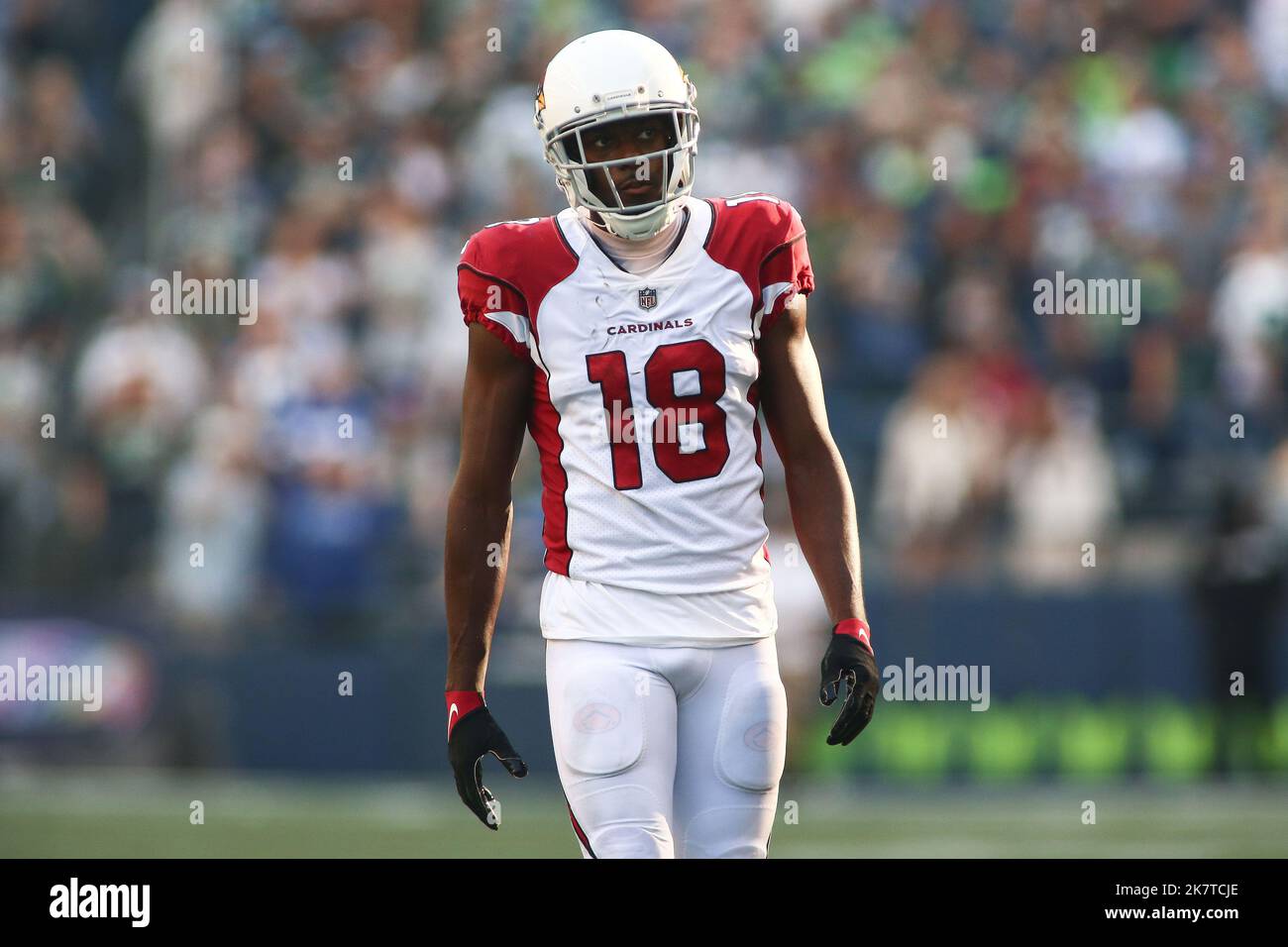 2022 465 jpg hi-res stock photography and images - Alamy