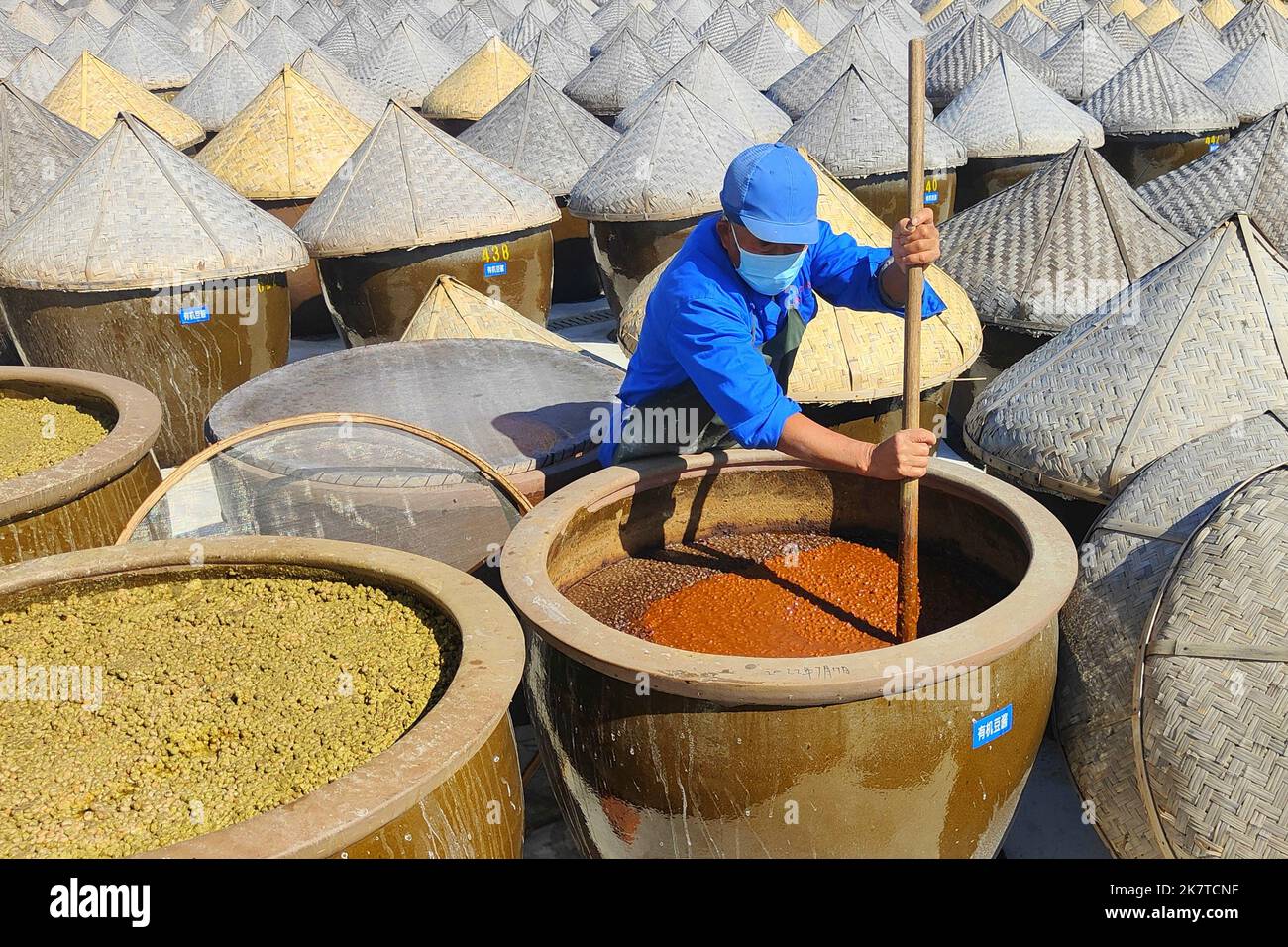 RUGAO, CHINA - OCTOBER 19, 2022 - Photo shows workers stirred the soy ...