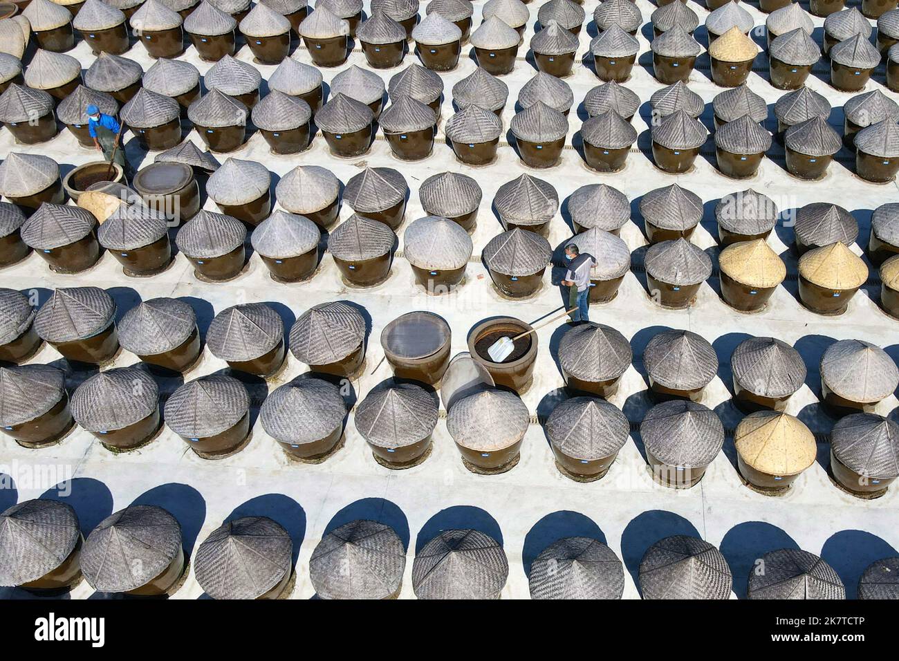 RUGAO, CHINA - OCTOBER 19, 2022 - Aerial photo shows workers stirred ...