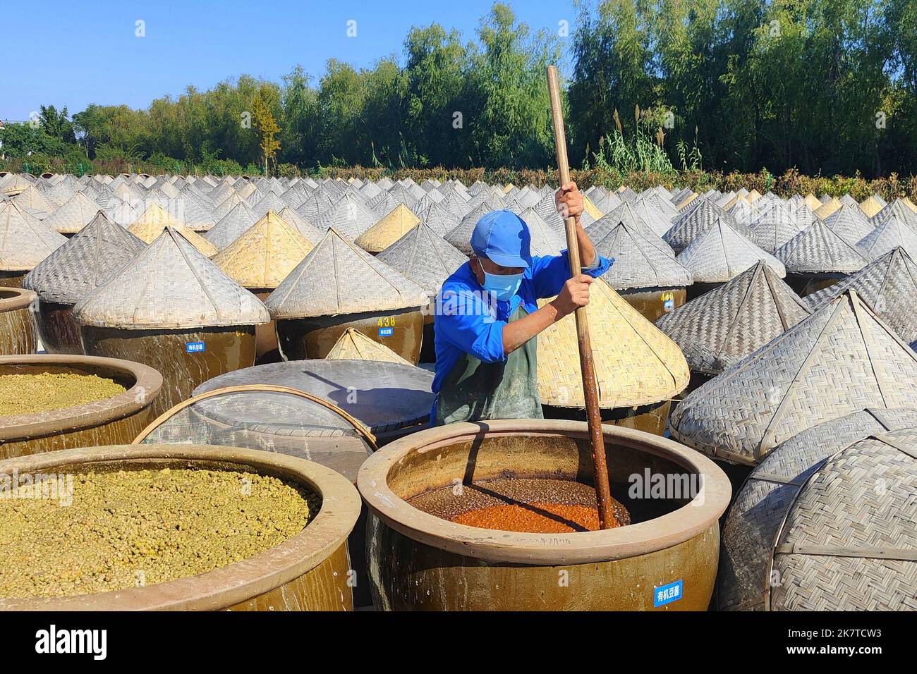 RUGAO, CHINA - OCTOBER 19, 2022 - Photo shows workers stirred the soy ...