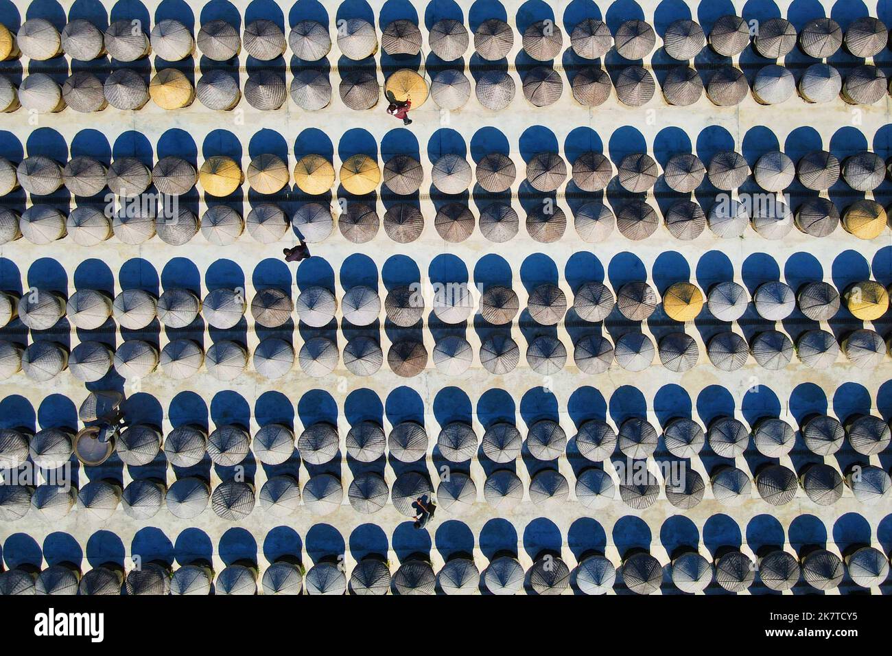 RUGAO, CHINA - OCTOBER 19, 2022 - Aerial photo shows workers stirred ...