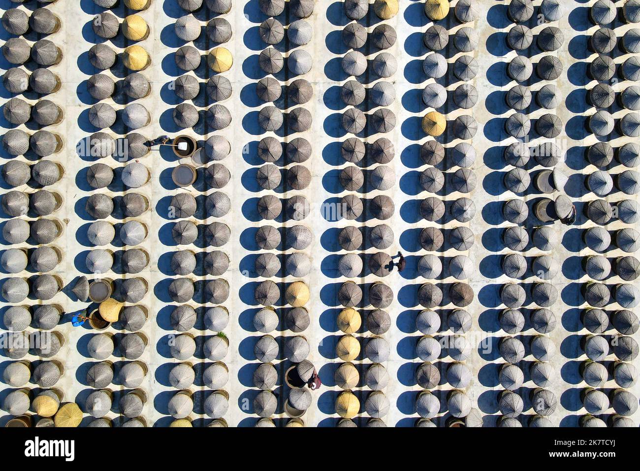 RUGAO, CHINA - OCTOBER 19, 2022 - Aerial photo shows workers stirred ...