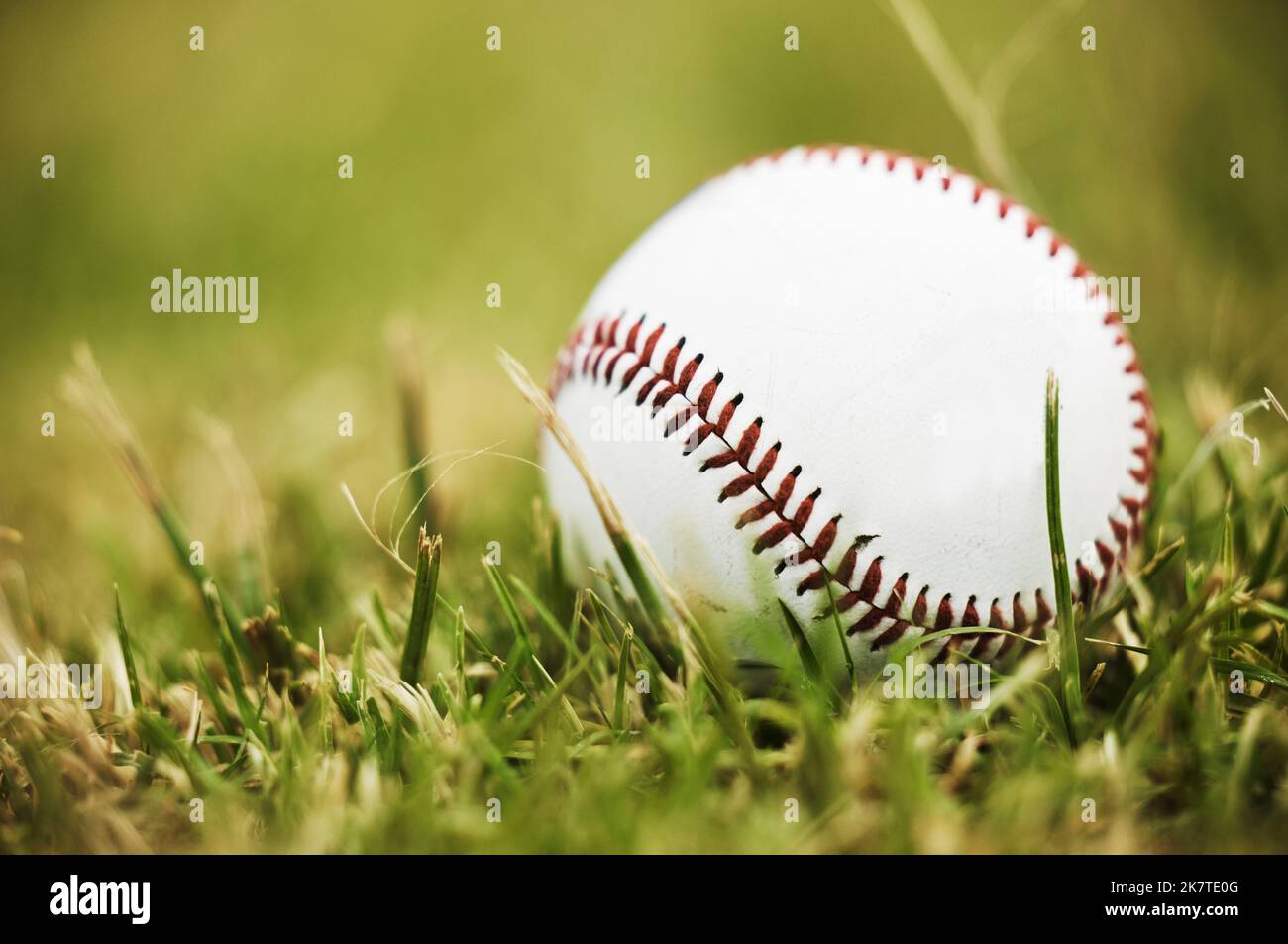 Baseball, sports and outdoor ball in nature on grass for a sport ...