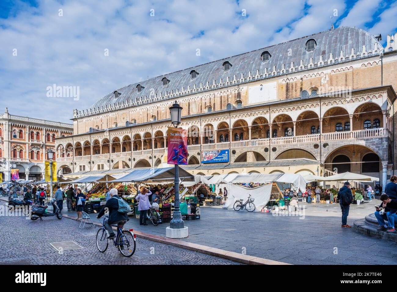 Outdoor food market, Piazza delle Erbe, Padua, Veneto, Italy Stock ...