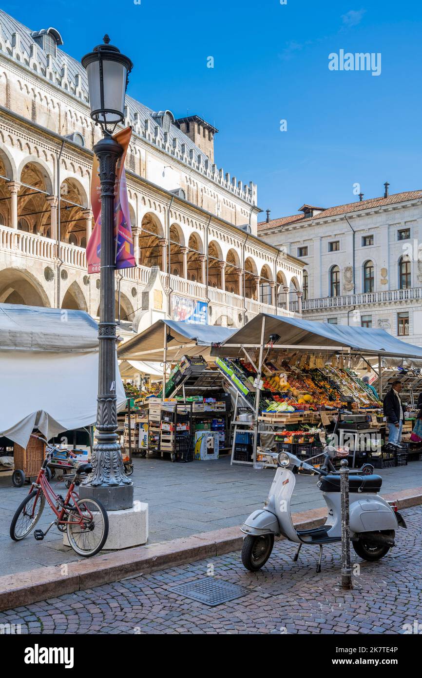 Outdoor food market, Piazza delle Erbe, Padua, Veneto, Italy Stock ...