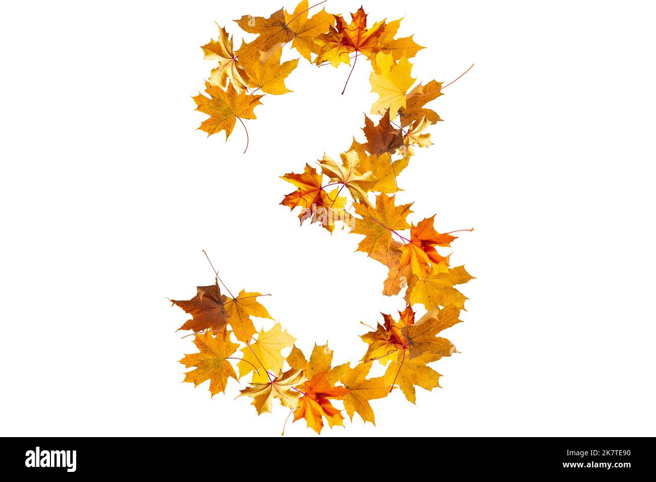 Number 3 of colorful autumn leaves. Cardinal number three mades of fall ...