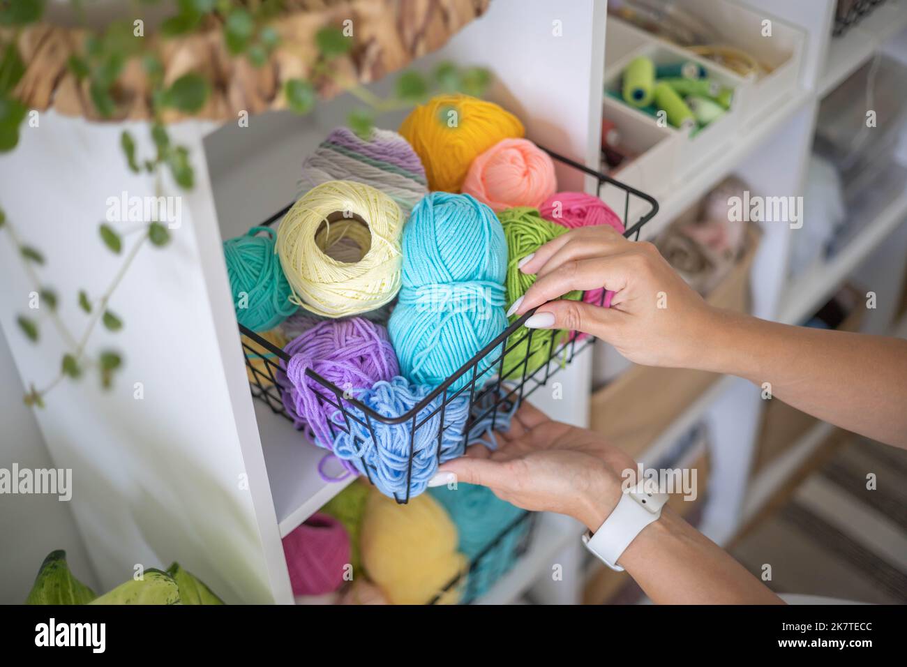 Female hands placing basket hi-res stock photography and images - Alamy
